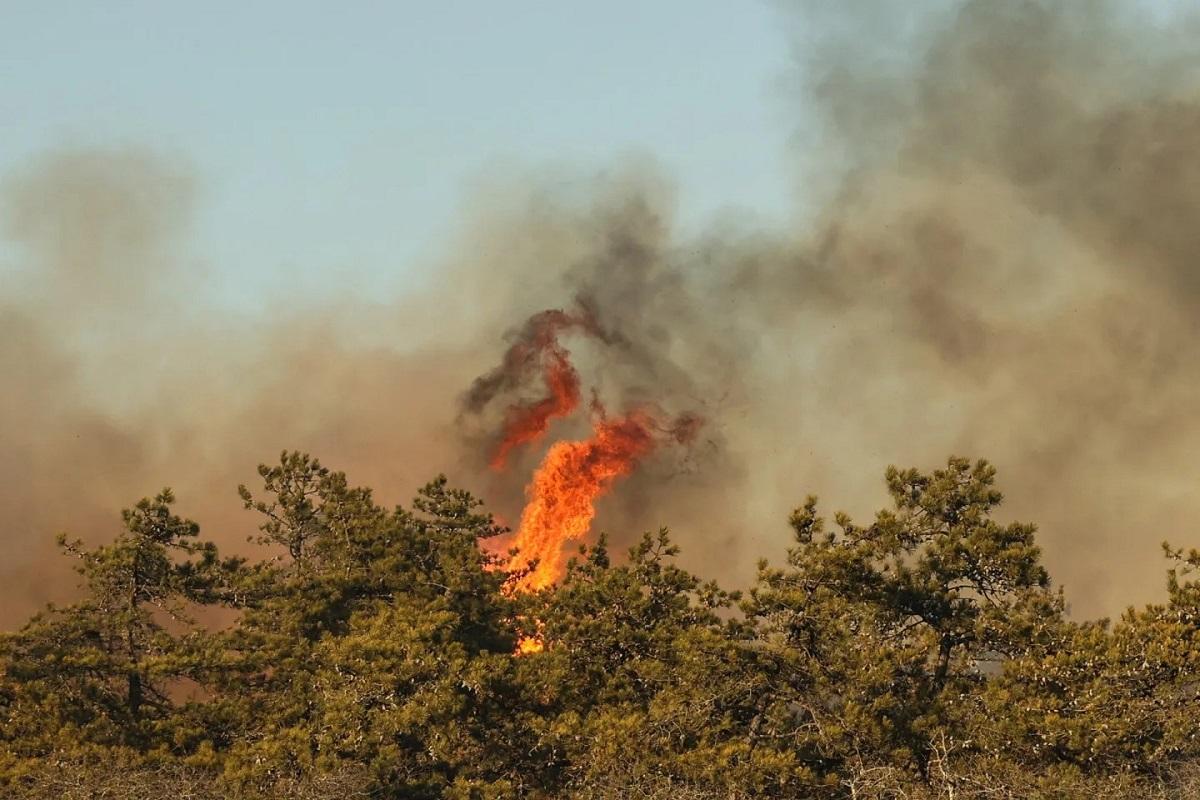 Lawngtlai District Reports Zero Fire Incidents in 2026 So Far